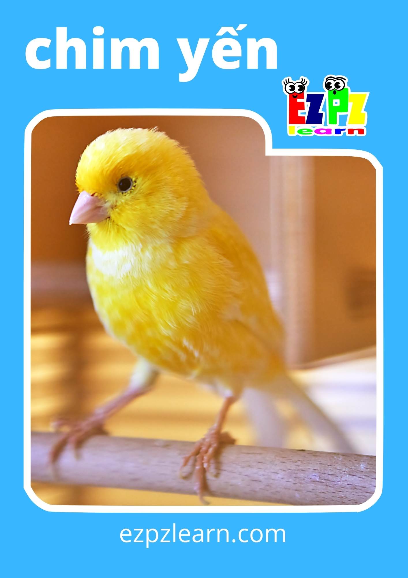 Pets Photo Flashcards - Ezpzlearn.com